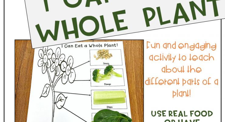 Index of /wp-content/uploads/2018/03/