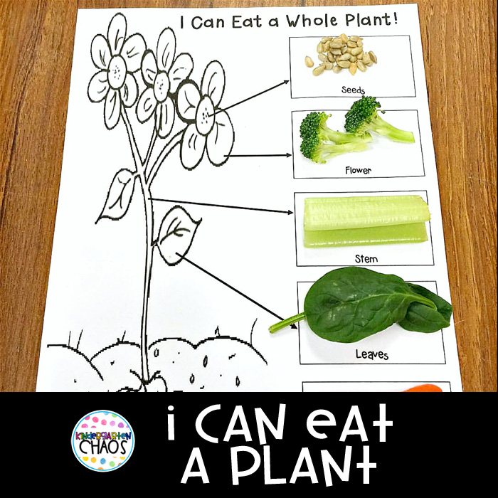 Index of /wp-content/uploads/2019/02/