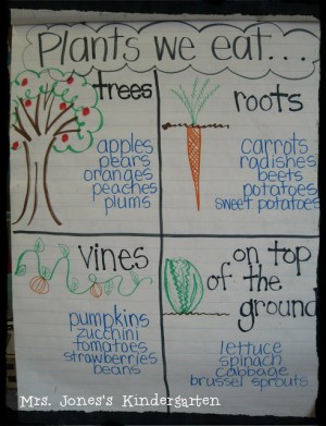 Plants Anchor Chart - Kindergarten Chaos