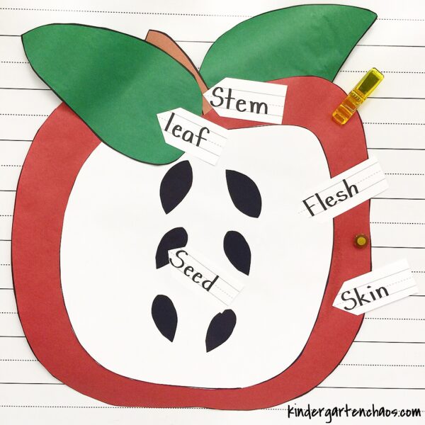 10 Activities for Apple in the Kindergarten Classroom