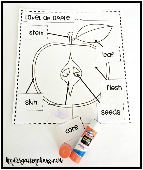 10 Activities for Apple in the Kindergarten Classroom