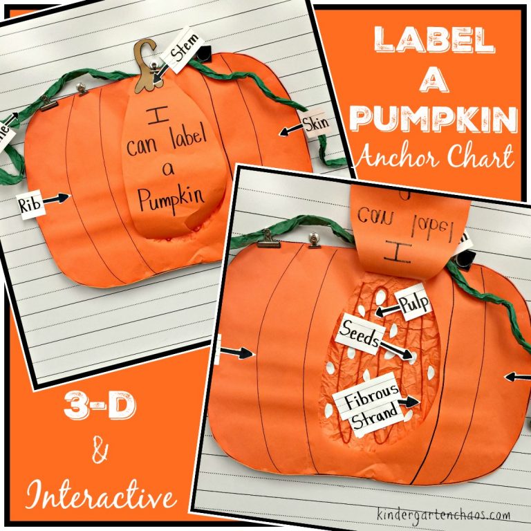 Pumpkin Activities for the Kindergarten Classroom