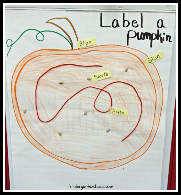 Pumpkin Activities for the Kindergarten Classroom