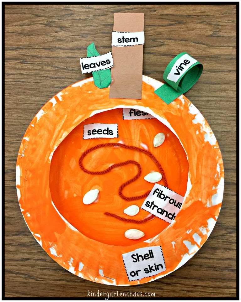 Pumpkin Activities for the Kindergarten Classroom