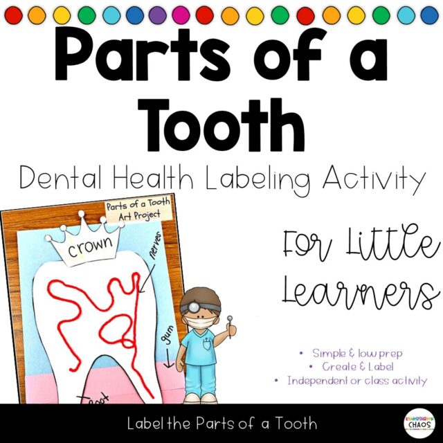 Parts of A Tooth Printable Craftivity For A Dental Health Unit