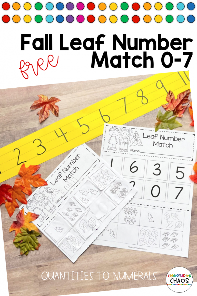 Fall Leaf Count & Match Quantities to Numerals - Kindergarten Chaos