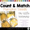 Fall Leaf Count & Match Quantities to Numerals - Kindergarten Chaos