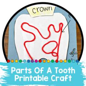 Parts of A Tooth Craft dental - Kindergarten Chaos