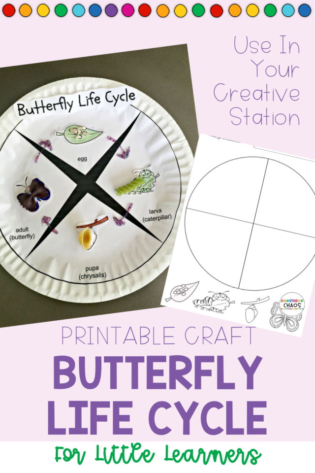Butterfly Life Cycle Activity Freebie - Kindergarten Chaos