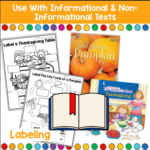 November Thanksgiving Literacy Math Activities - Worksheets | Centers ...