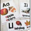 Alphabet Posters with Real Non-Fiction Pictures - Kindergarten Chaos