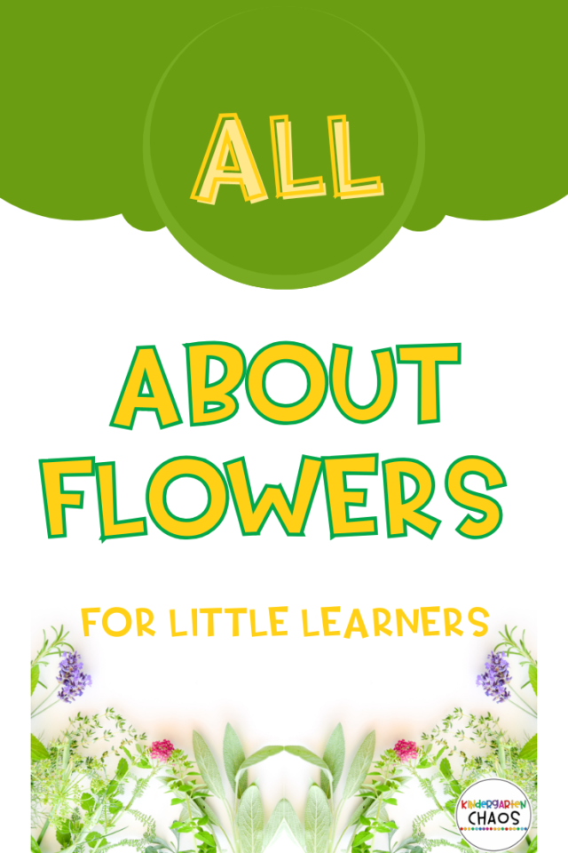 All About Flowers for Little Learners - Kindergarten Chaos