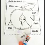 Label-an-Apple-Cut-and-Paste-Activity-kindergartenchaos.com_-600x715 - Kindergarten Chaos